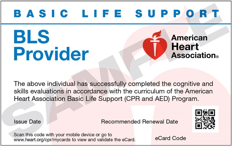 Aha Basic Life Support (Bls) ( Temel Yaşam Desteği ) Aha Basic Life Support (Bls) ( Temel Yaşam Desteği )